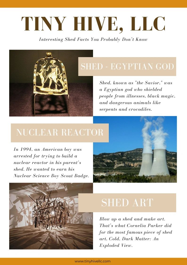 6 Interesting Facts about Sheds You Don't Know